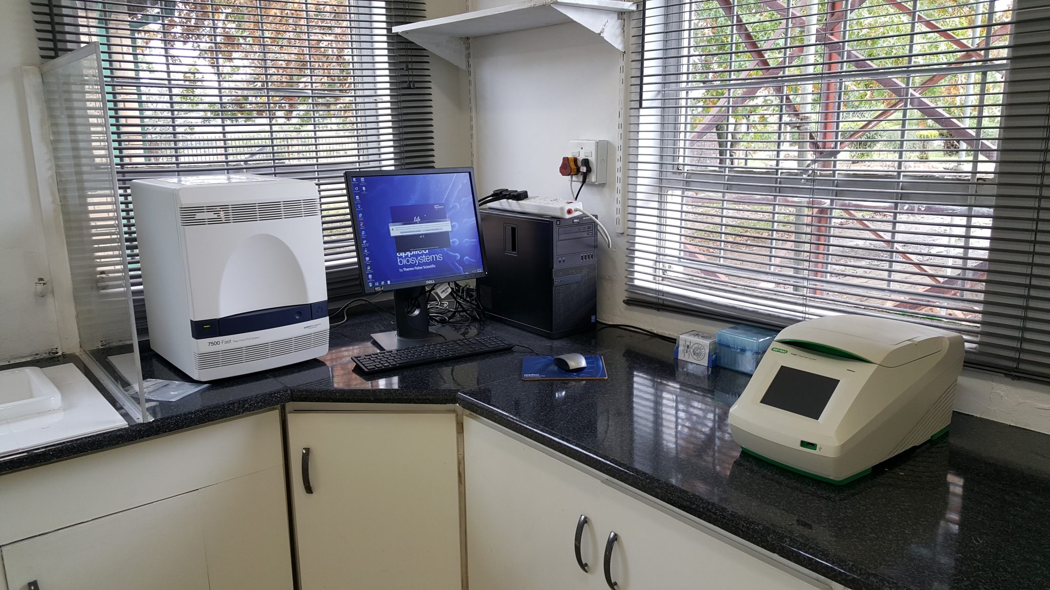Laboratory Diagnostics Services – Liselo Labs